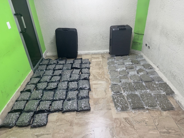 En Punta Cana Hallan Dos Maletas Con 79 Paquetes De Marihuana